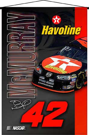 #42 Jamie McMurray 29" x 45" Deluxe Wallhanging