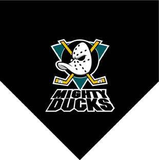 Anaheim Mighty Ducks 60" x 50" Team Fleece Blanket / Throw