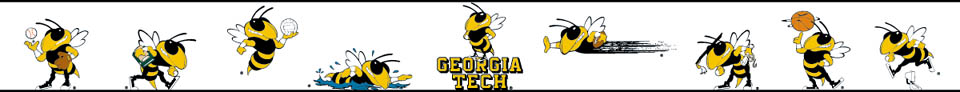 Georgia Tech Yellowjackets Wall Border