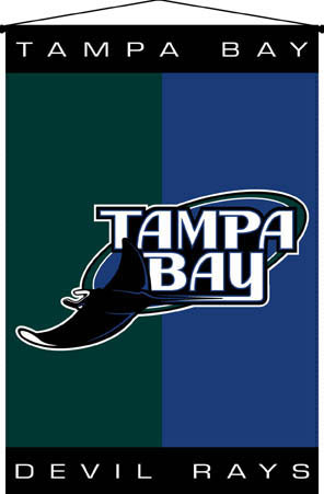 Tampa Bay Devil Rays 29" x 45" Deluxe Wallhanging