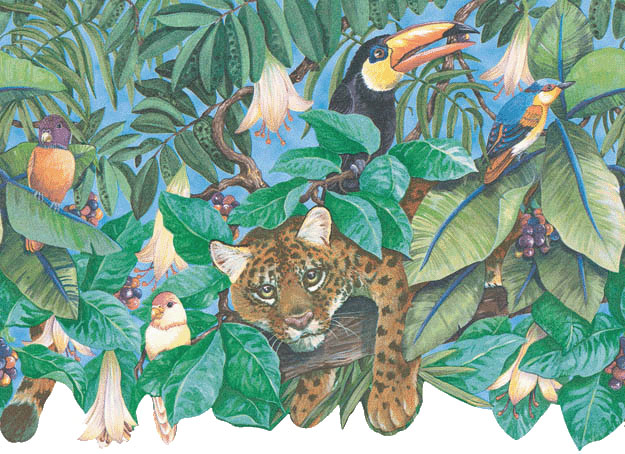 Tiger and Toucans Wallpaper Border