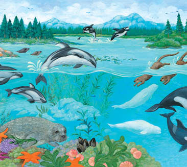 Orca Border