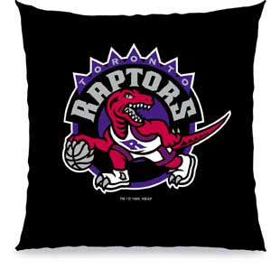 Toronto Raptors 18" Toss Pillow