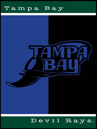 Tampa Bay Devil Rays 60" x 80" All-Star Collection Blanket / Throw