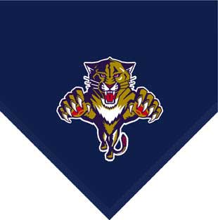 Florida Panthers 60" x 50" Team Fleece Blanket / Throw