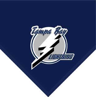 Tampa Bay Lightning 60" x 50" Team Fleece Blanket / Throw