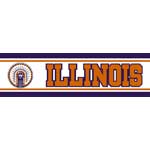 Illinois Illini 5 1/4" Tall Wallpaper Border